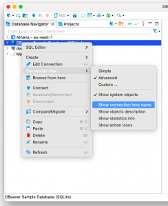 How to customize your Navigation Tree - DBeaver