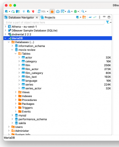 How to customize your Navigation Tree - DBeaver