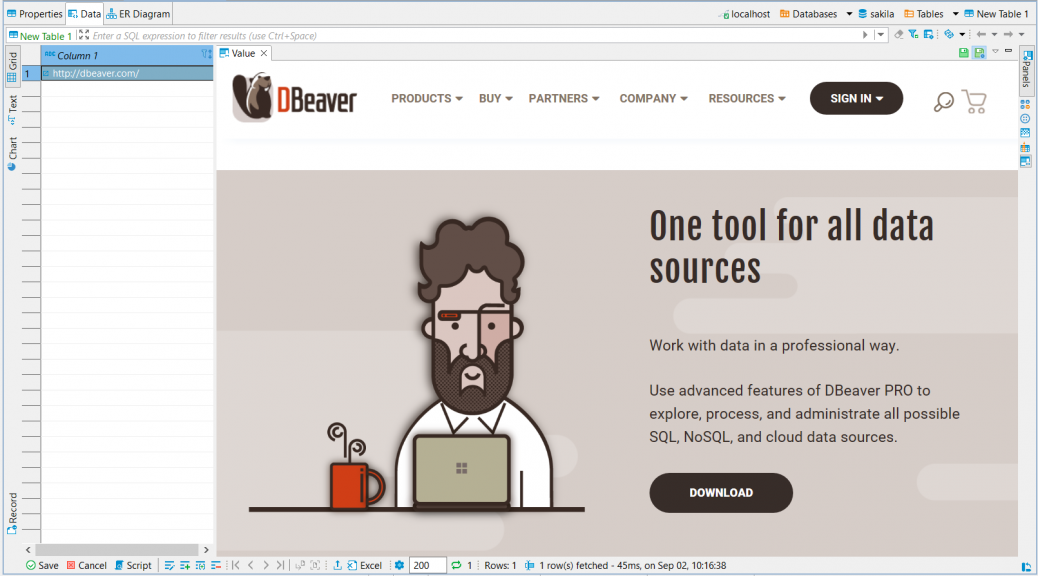 DBeaver 22.2 - DBeaver