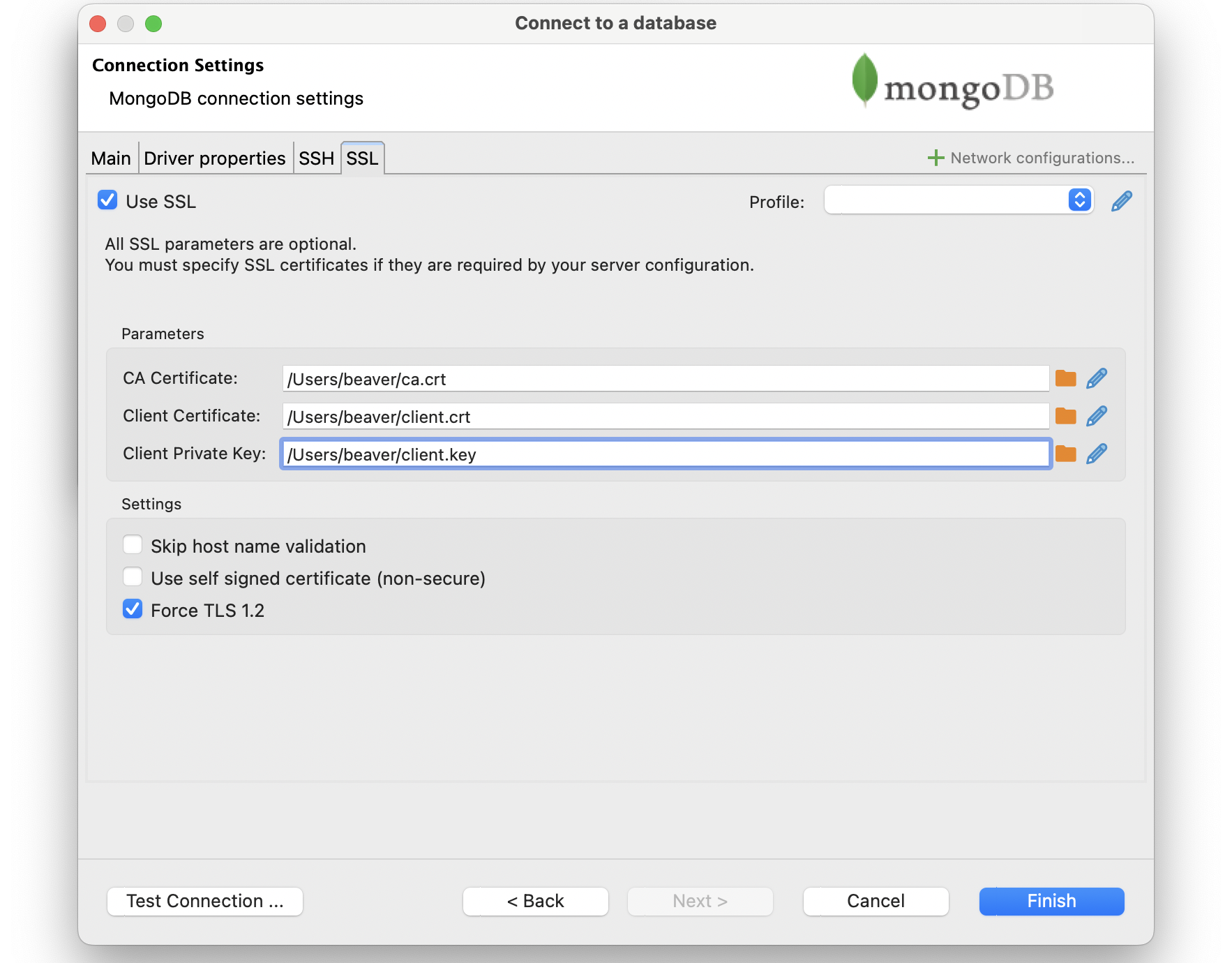 DBeaver Tutorial | Connect to MongoDB with DBeaver