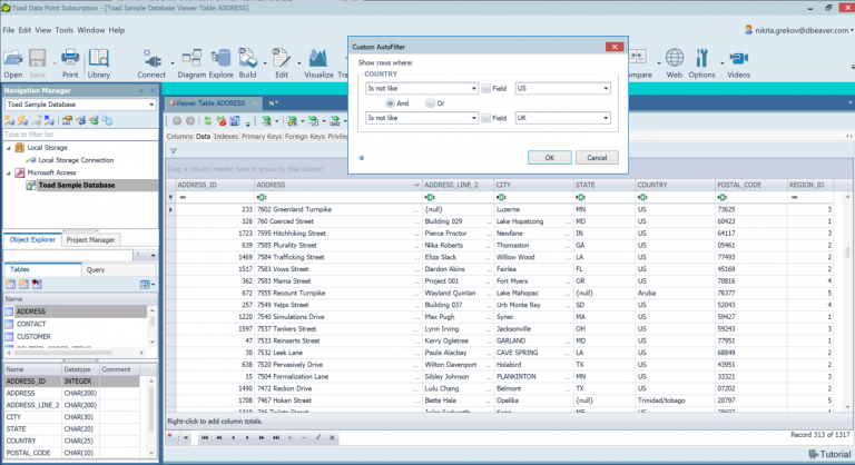 Choosing Between DBeaver and Toad